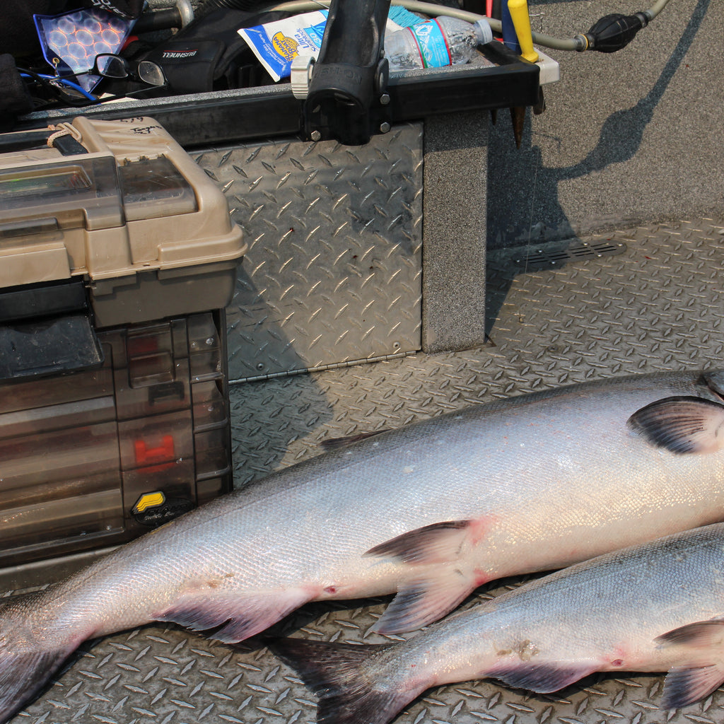 Turn Frozen Fish into Gourmet Treats | Smokehouse Products